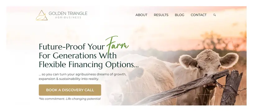 Golden Triangle Group | Book A Call